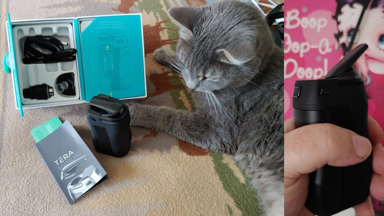 Vaporizers Archives - DabConnection